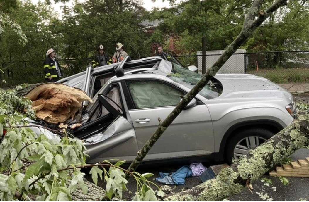 Falling trees injure people in two Massachusetts towns in less than a day