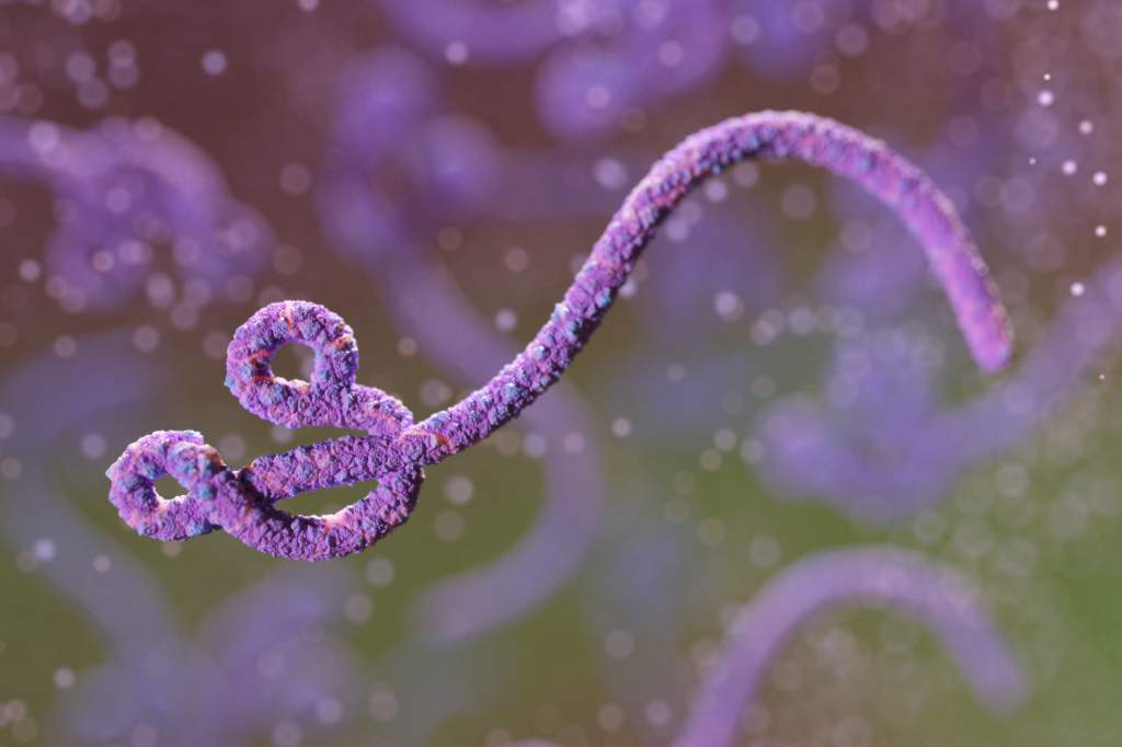 Ontario tests possible Ebola case after East Africa travel, no ...