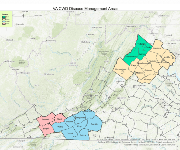 DWR report finds 11 deer with chronic wasting disease in SW Virginia ...