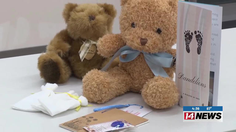 'Dandelions' ministry helping families grieving pregnancy loss