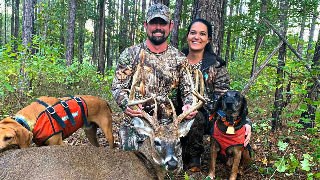 How tracking dogs saved my hunt 🎯