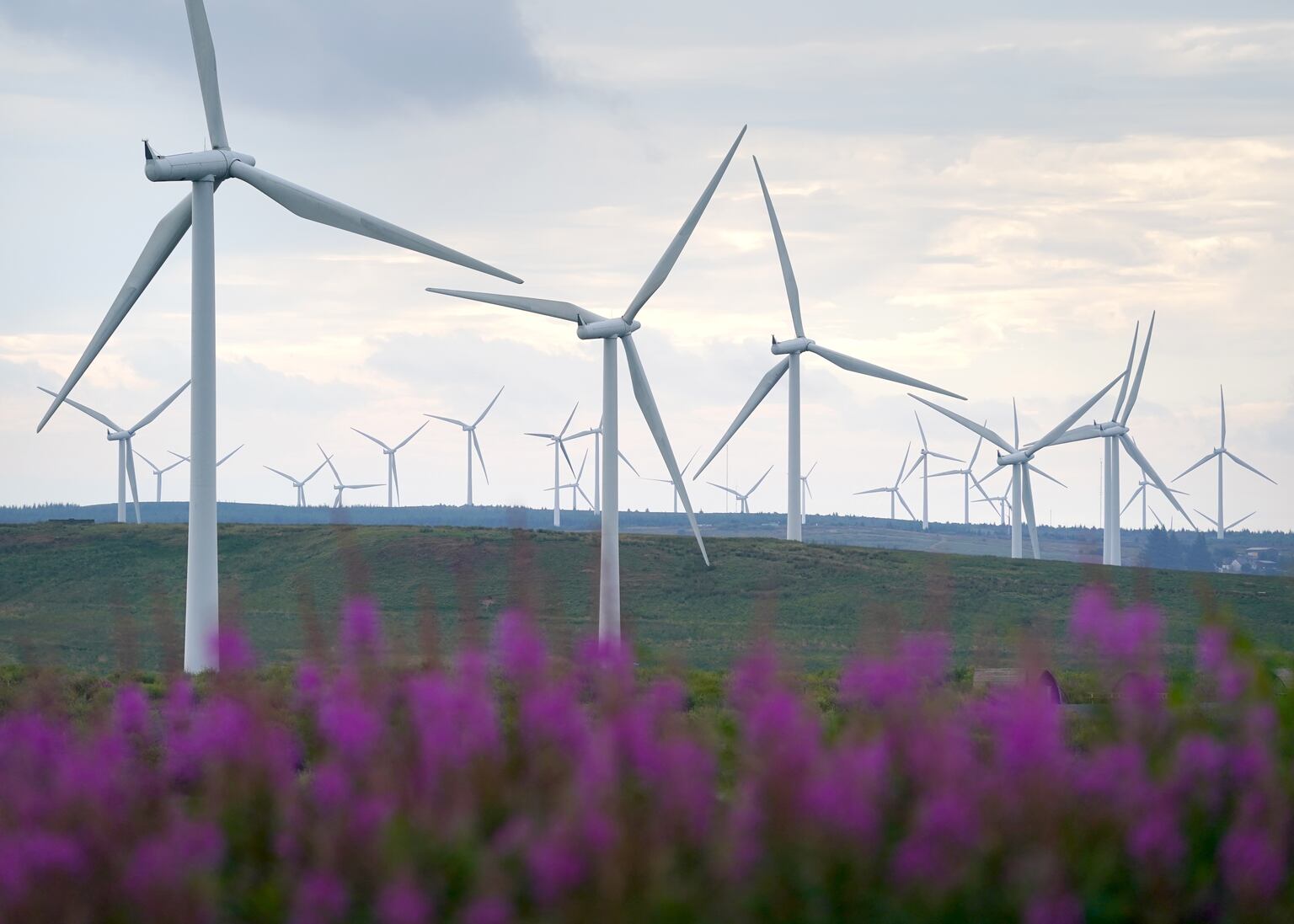Clean power by 2030 target 'extremely ambitious', MPs warn
