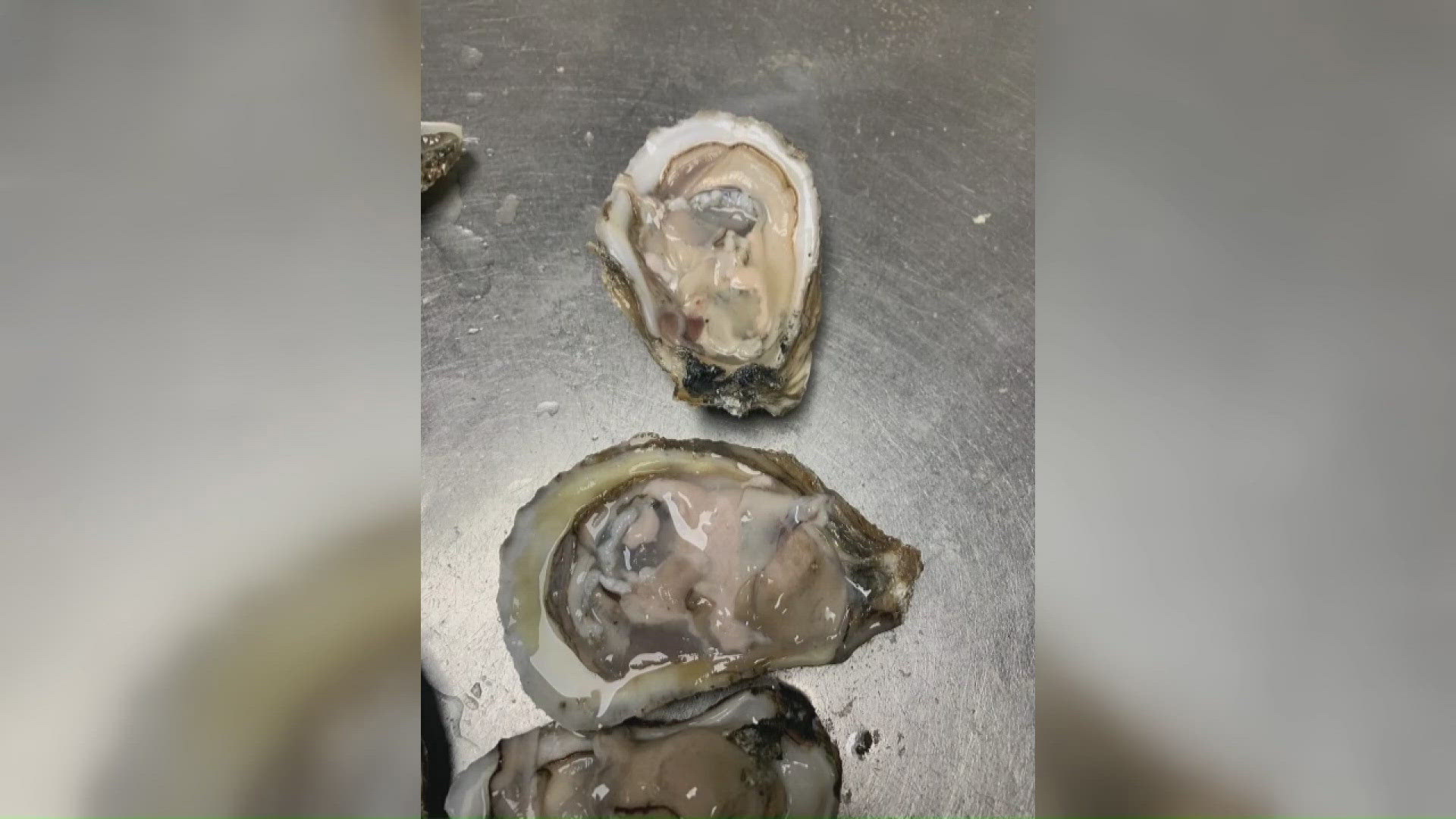 Oil still appearing on seafood, equipment after LOOP spill