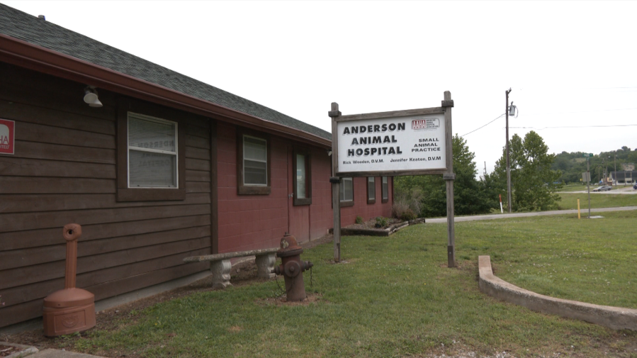 Beloved Anderson Animal Hospital to shut down after 45 years