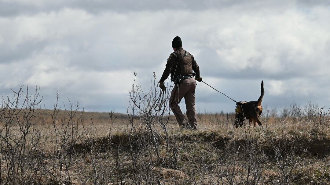 Missing juvenile found safe after K9 search in Rolette County