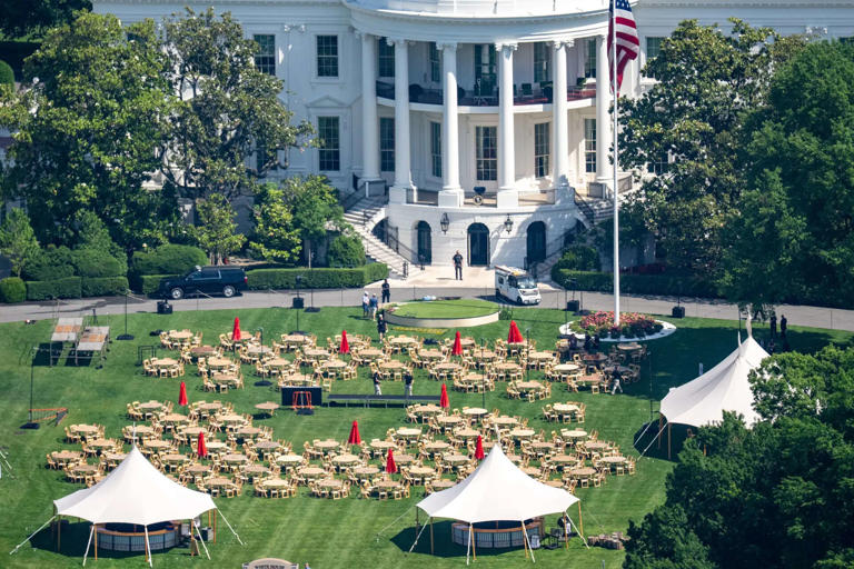 Bugs at White House? Dana White reveals bizarre problem threatening UFC ...