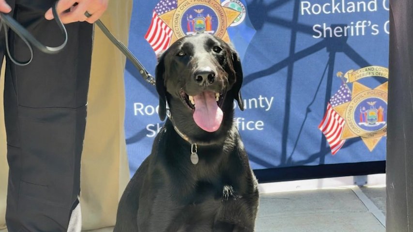 K-9 Lloyd joins Rockland Sheriff's Office, honors fallen firefighter