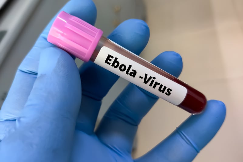 Brote de ébola continúa creciendo en África mientras OMS descarta ...