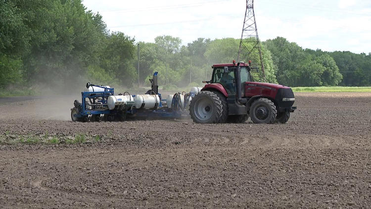 Farmers face rising costs, delayed harvest after spring frost