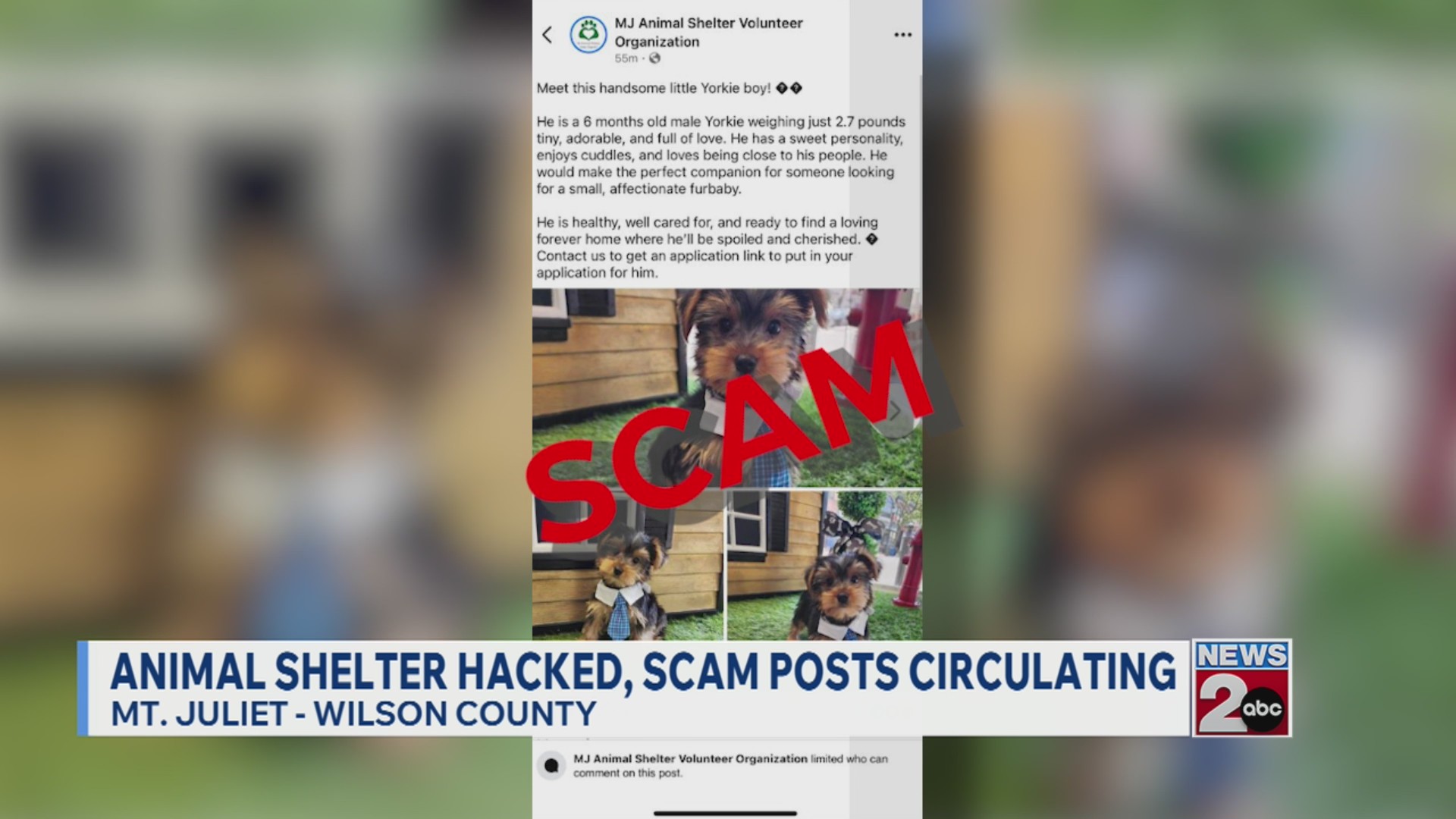 Mt. Juliet animal shelter hacked, scam posts circulating
