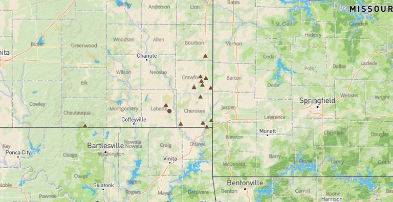 Black bear spotted in southeast Kansas neighborhood