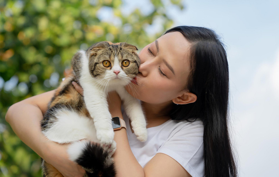 Cat sitter อาชีพใหม่ ‘ทาสแมว’