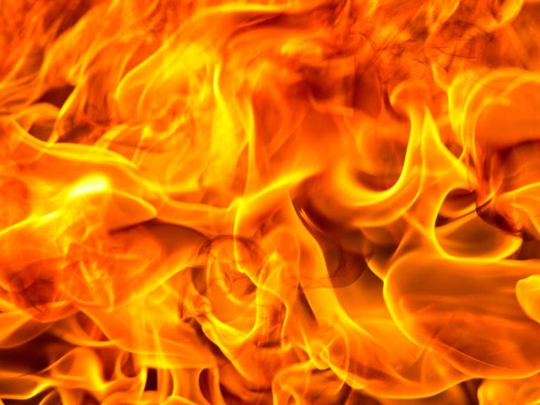 Pets die in Clarendon Hills house fire: Agency