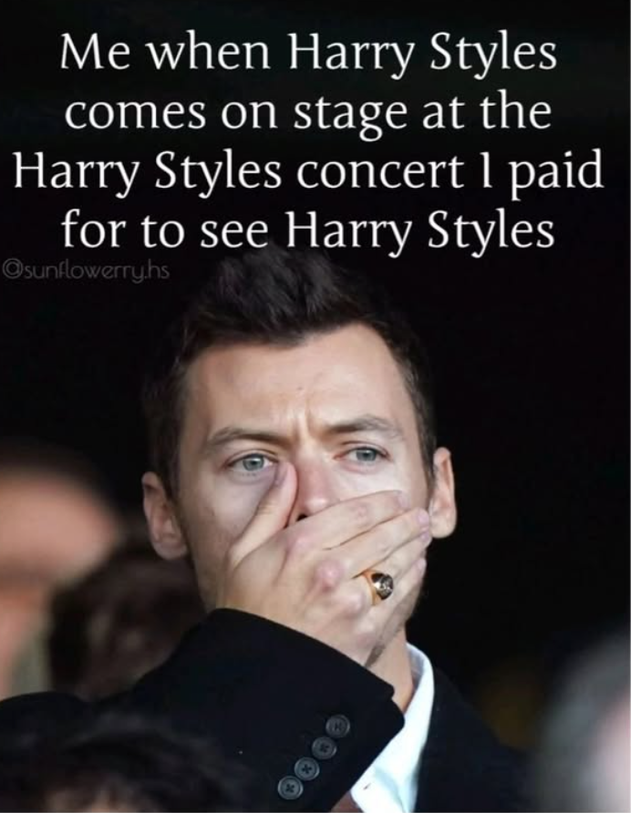 TPWK forever: 22 Harry Styles memes to leave you floating on watermelon ...