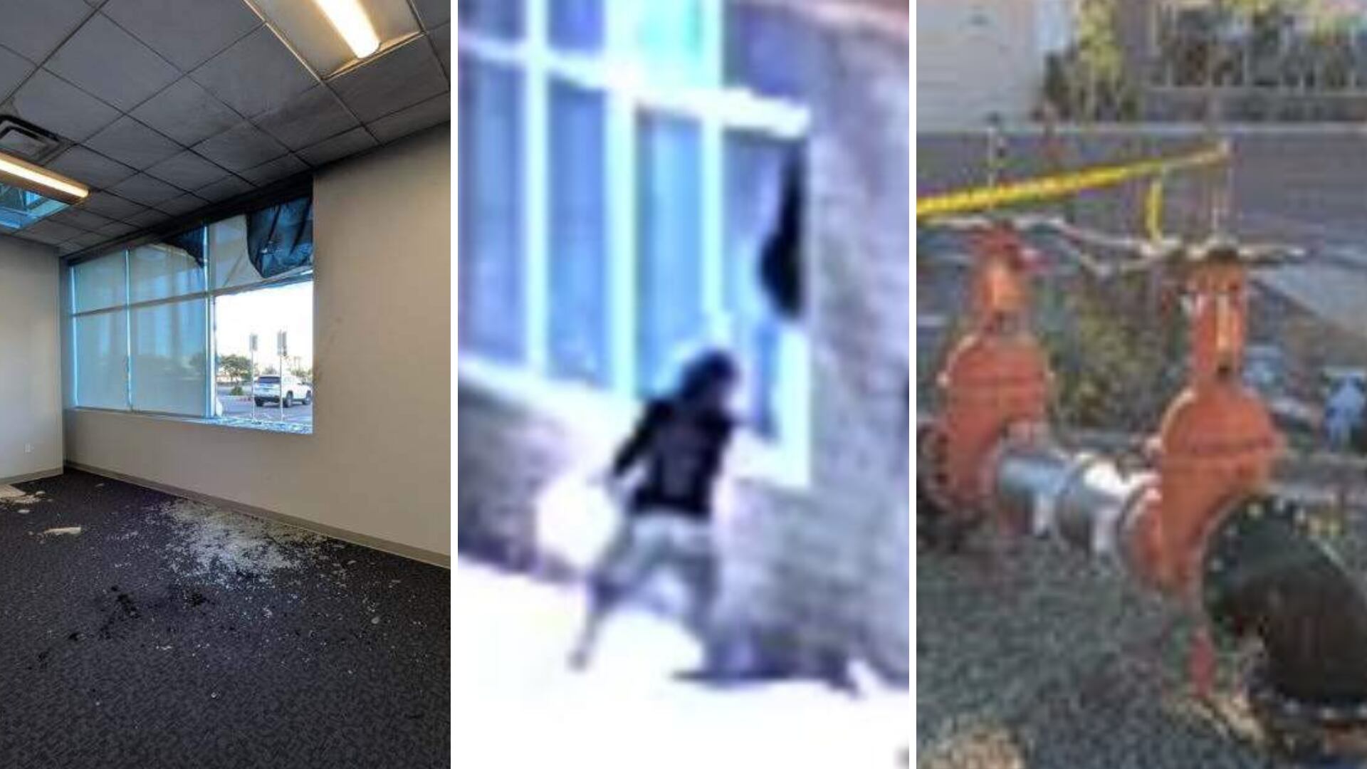 19-year-old arrested for allegedly setting fire to Surprise ICE building