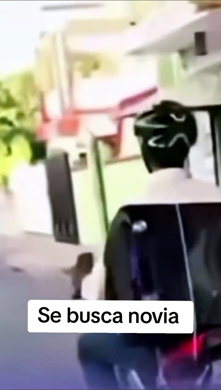 Hombre es grabado buscando esposa con anuncio en altoparlante en su moto