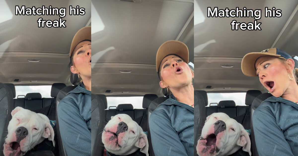 Dog's joyous singing is perfectly matched by his owner