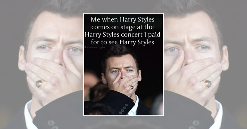 TPWK forever: 22 Harry Styles memes to leave you floating on watermelon ...