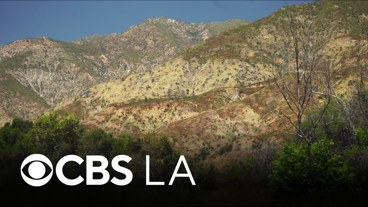 Eaton Canyon shows encouraging signs of recovery after devastating 2025 ...
