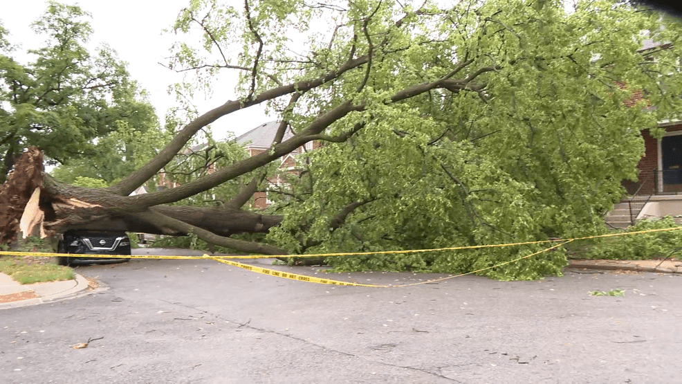 Family narrowly escapes after tree falls on Baltimore house, vehicle ...