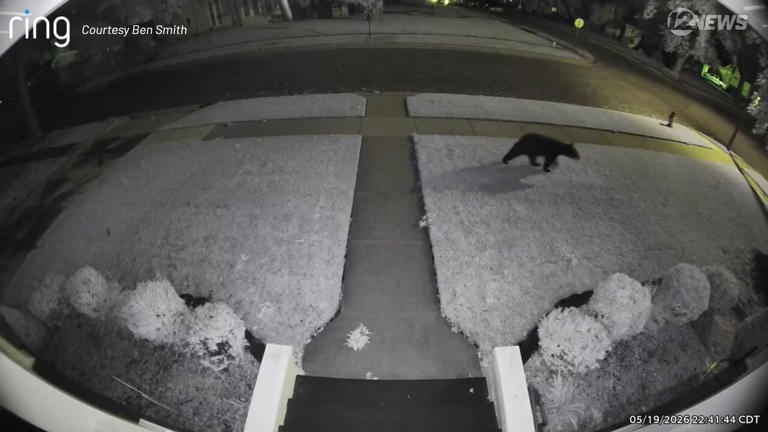 Police issue warning after bear sightings in southeast Kansas