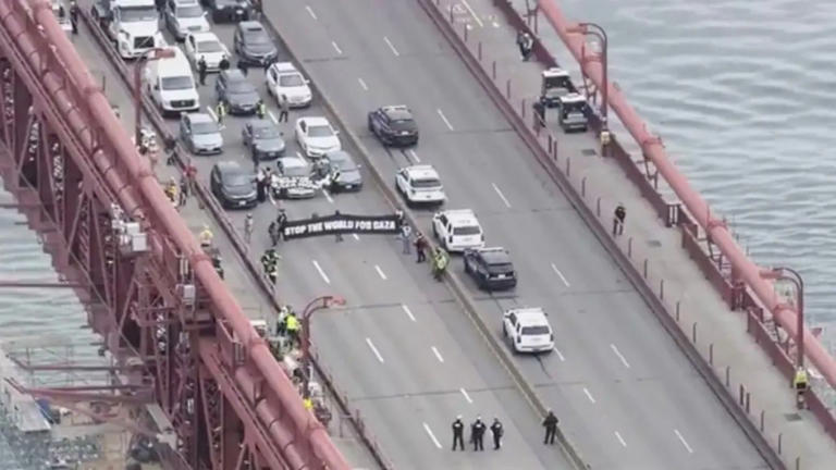 Protesters in Golden Gate Bridge shutdown face brutal punishment as ...