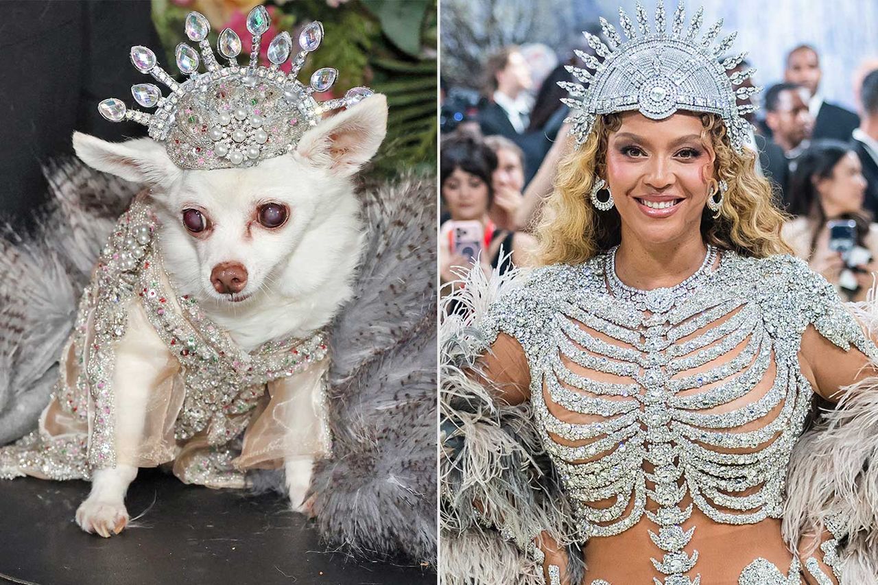 Fashionable dogs recreate the 2026 Met Gala’s most iconic looks at the ...