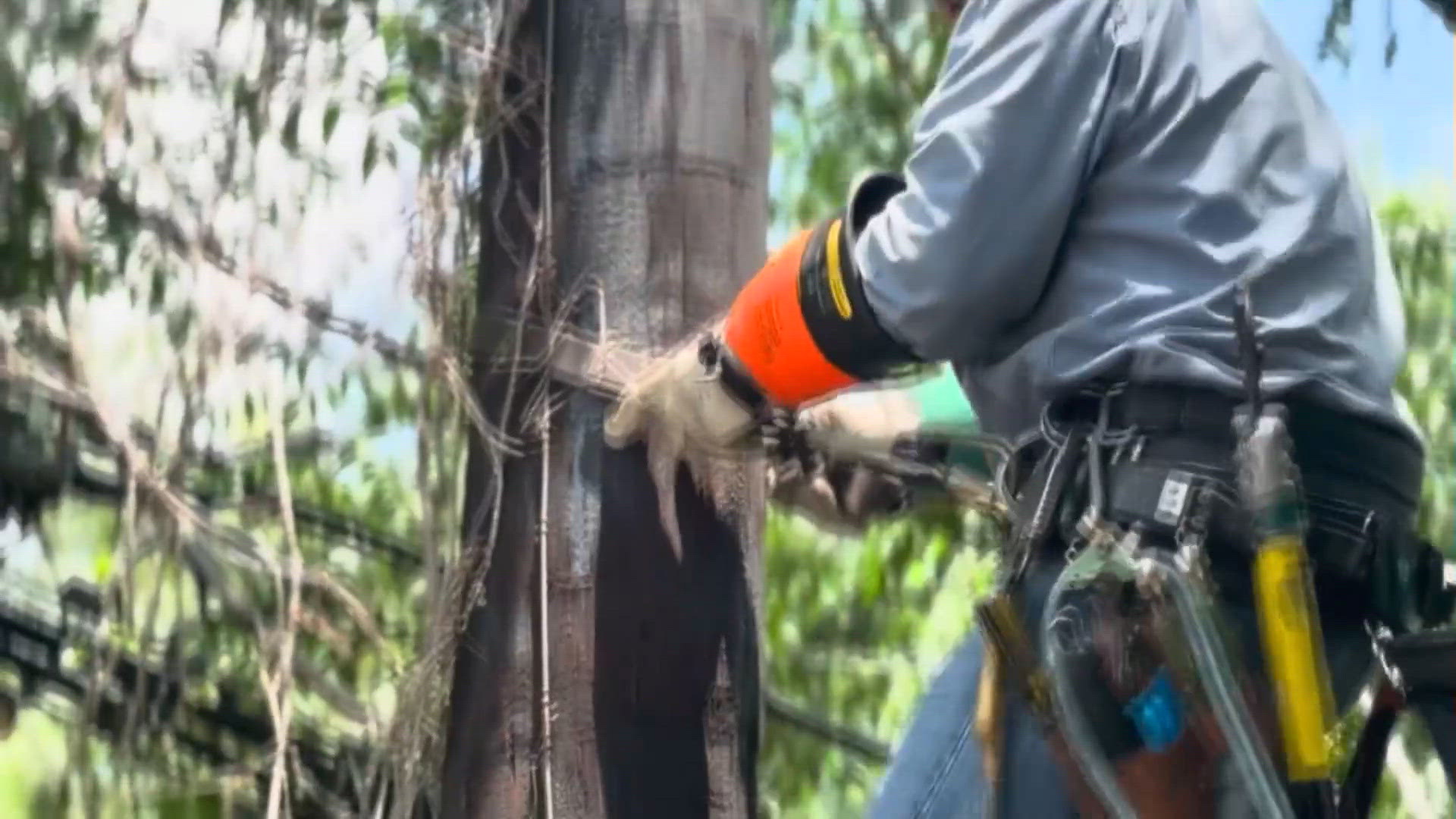 AEP: Storm recovery efforts