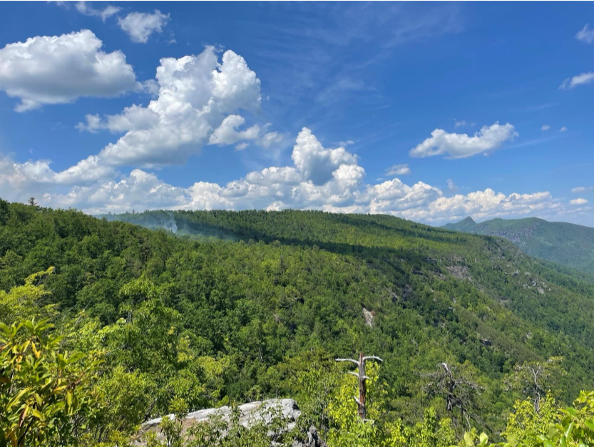 Multiple crews battle fire in Pisgah National Forest