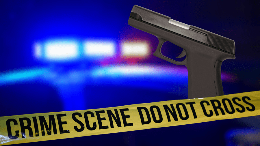 VPD responds to gunshots fired at Elizabeth Circle