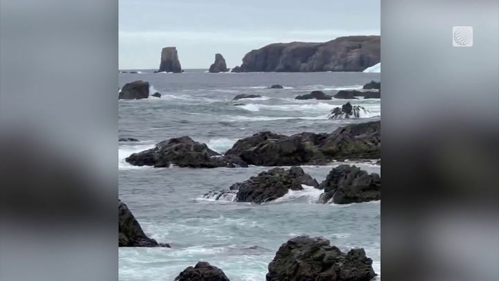 Stunning cliffside view in Bonavista