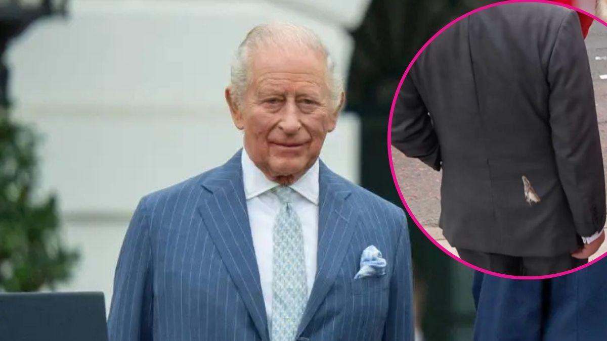 King Charles pelted with seagull poo during Northern Ireland visit in ...