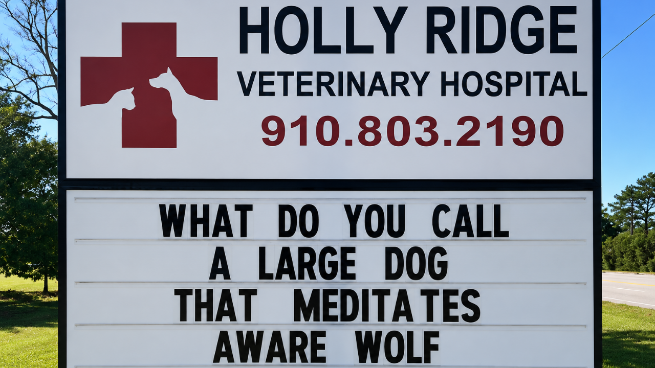 11 funny Holly Ridge Veterinary Hospital signs about pets