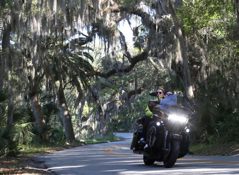 Volusia's Highbridge Park to expand by 14 acres, add more water access