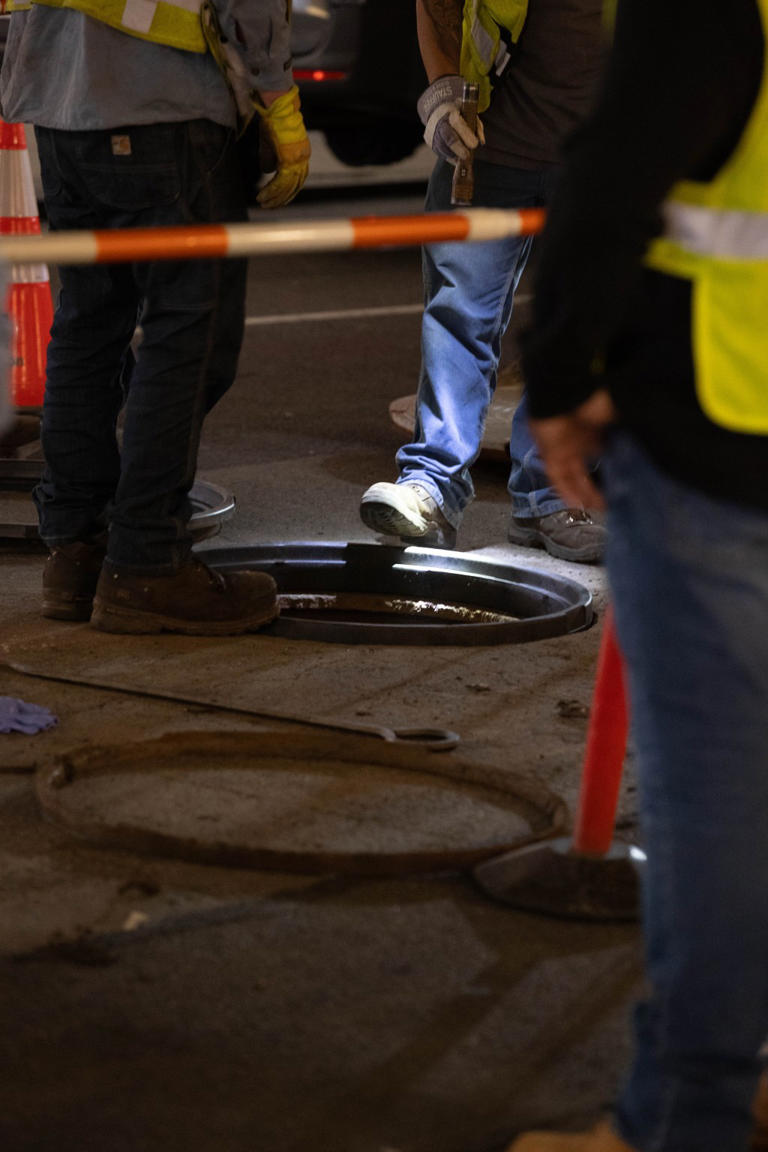 Gruesome cause of death revealed for Donike Gocaj, grandma who plunged ...
