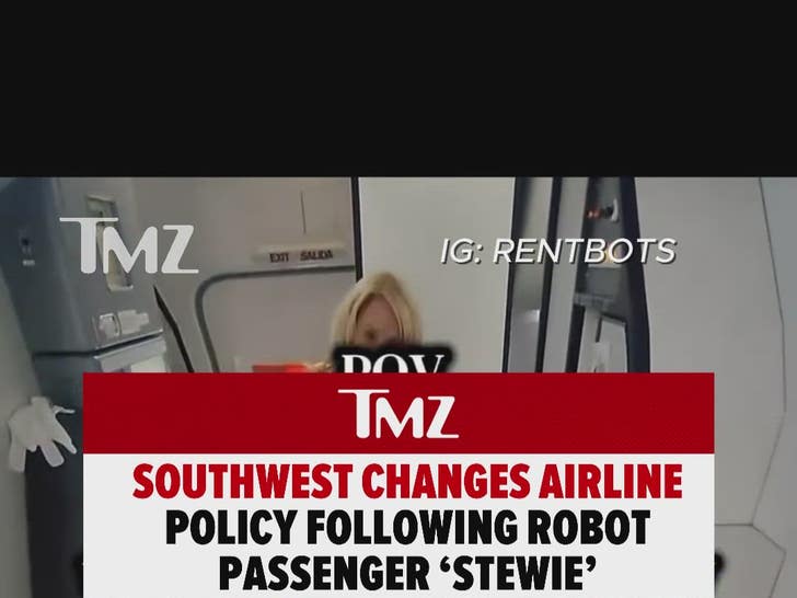 Southwest changes policy after 'robot passenger' Stewie