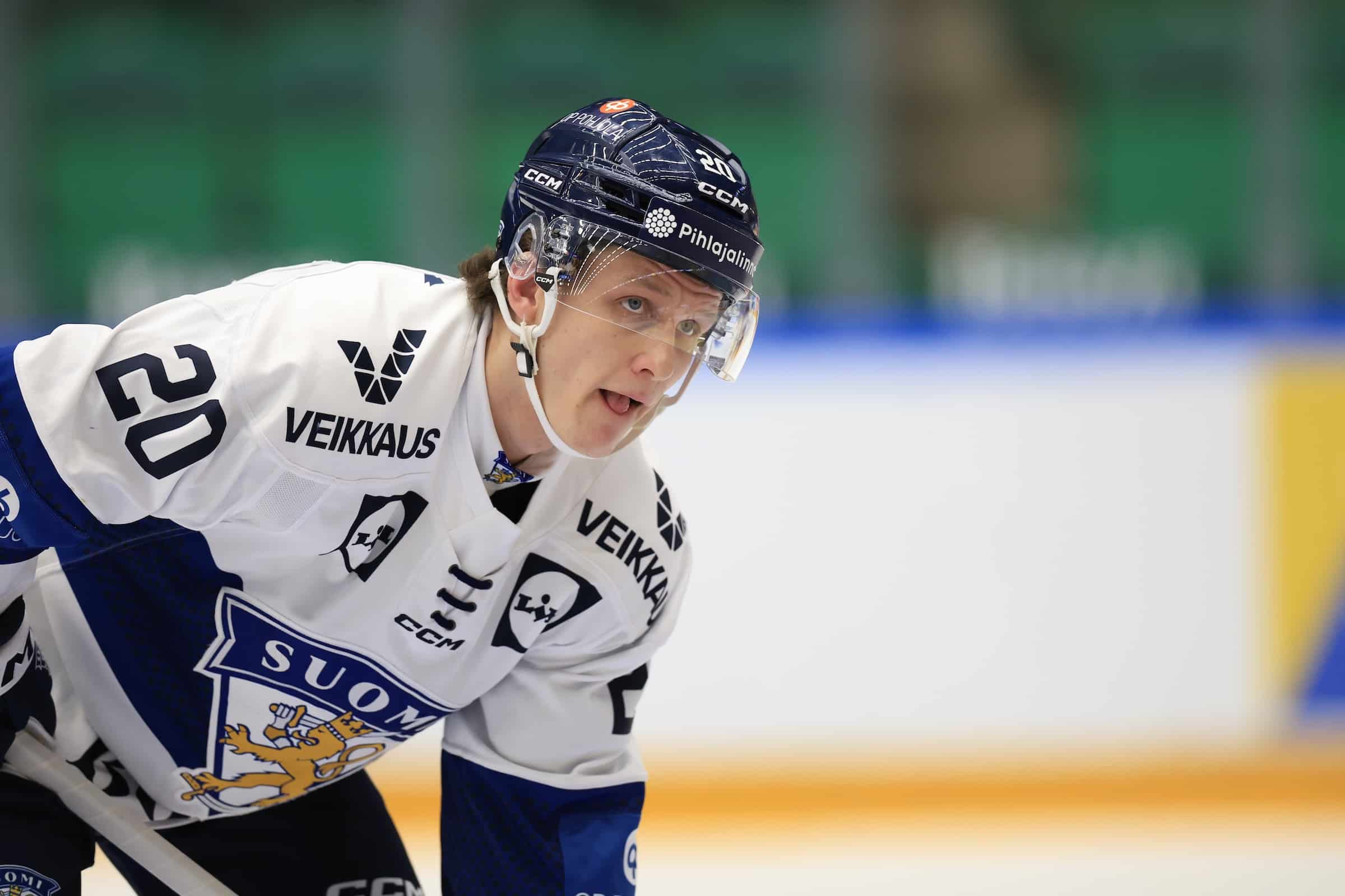 Leijonat vahvassa putkessa – pukukopista tuli suora viesti hehkutukselle