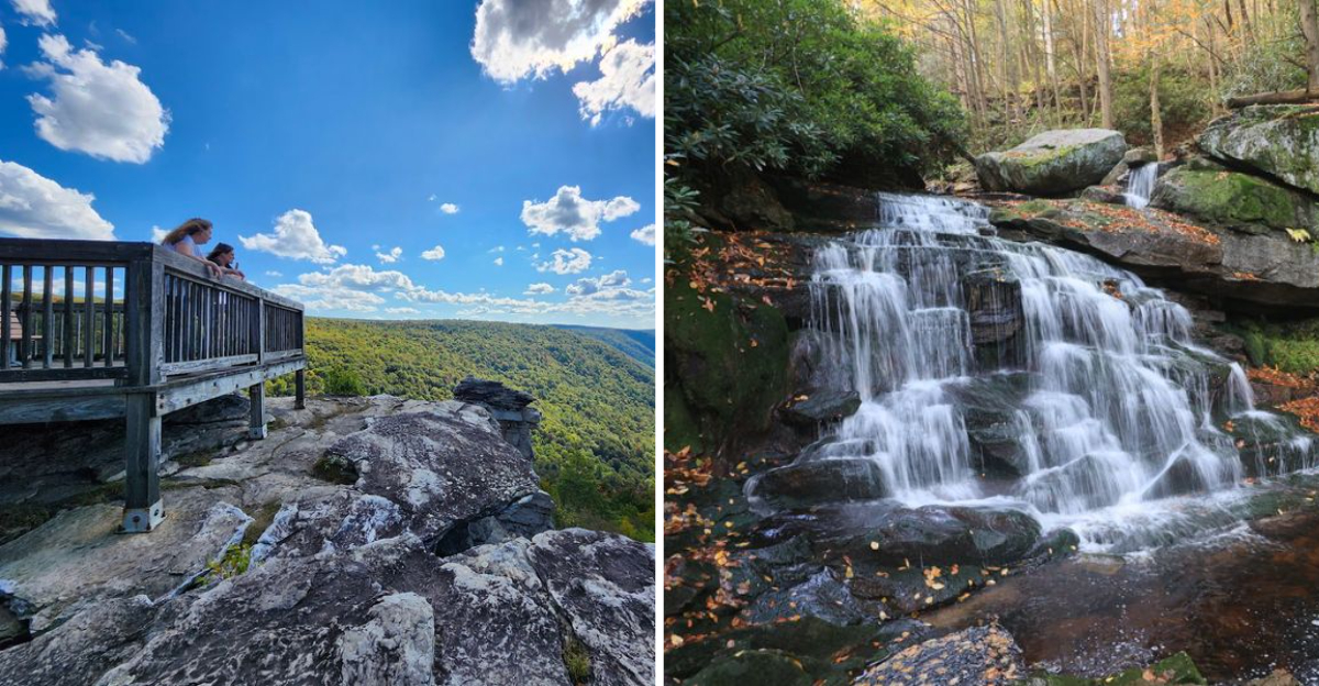 The West Virginia road trip that hits four iconic state parks in one ...