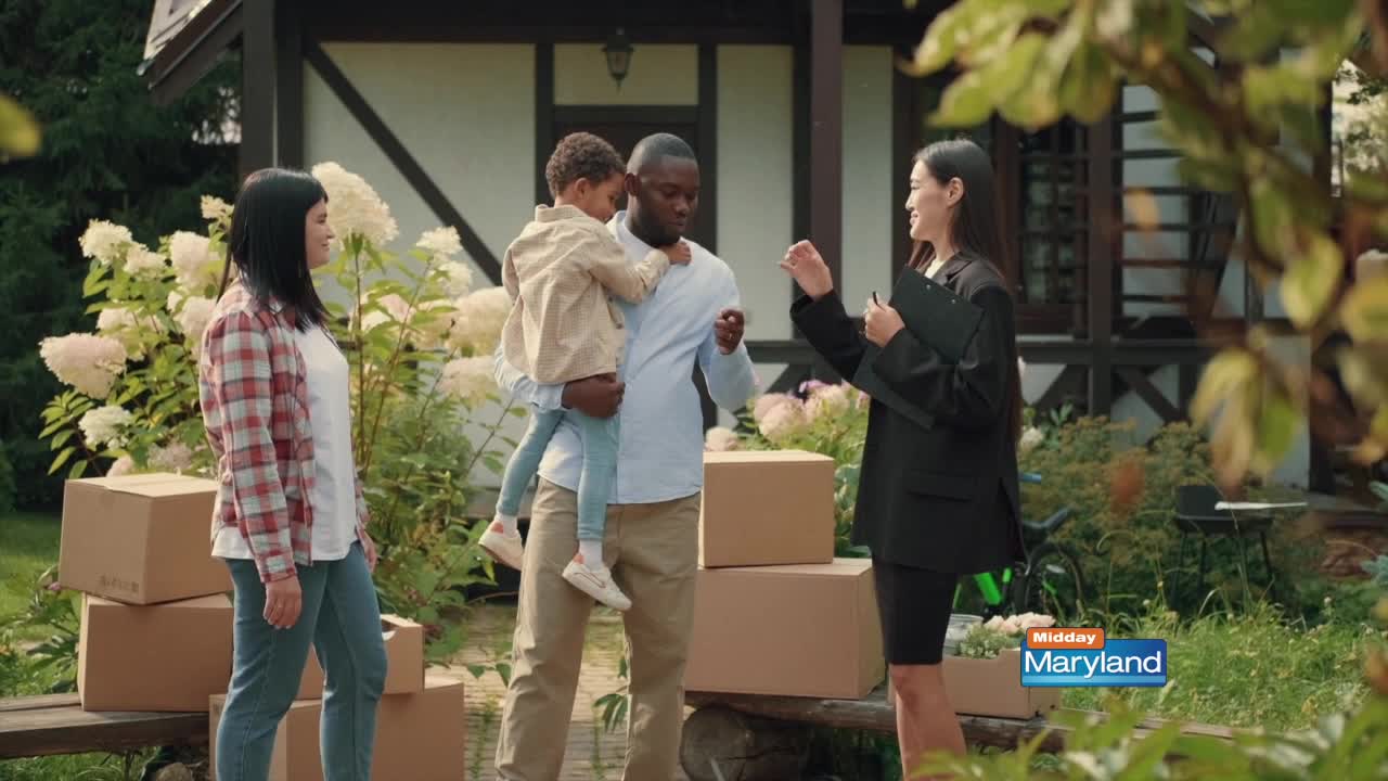 Kelly + Co Realty share the true cost of waiting to buy