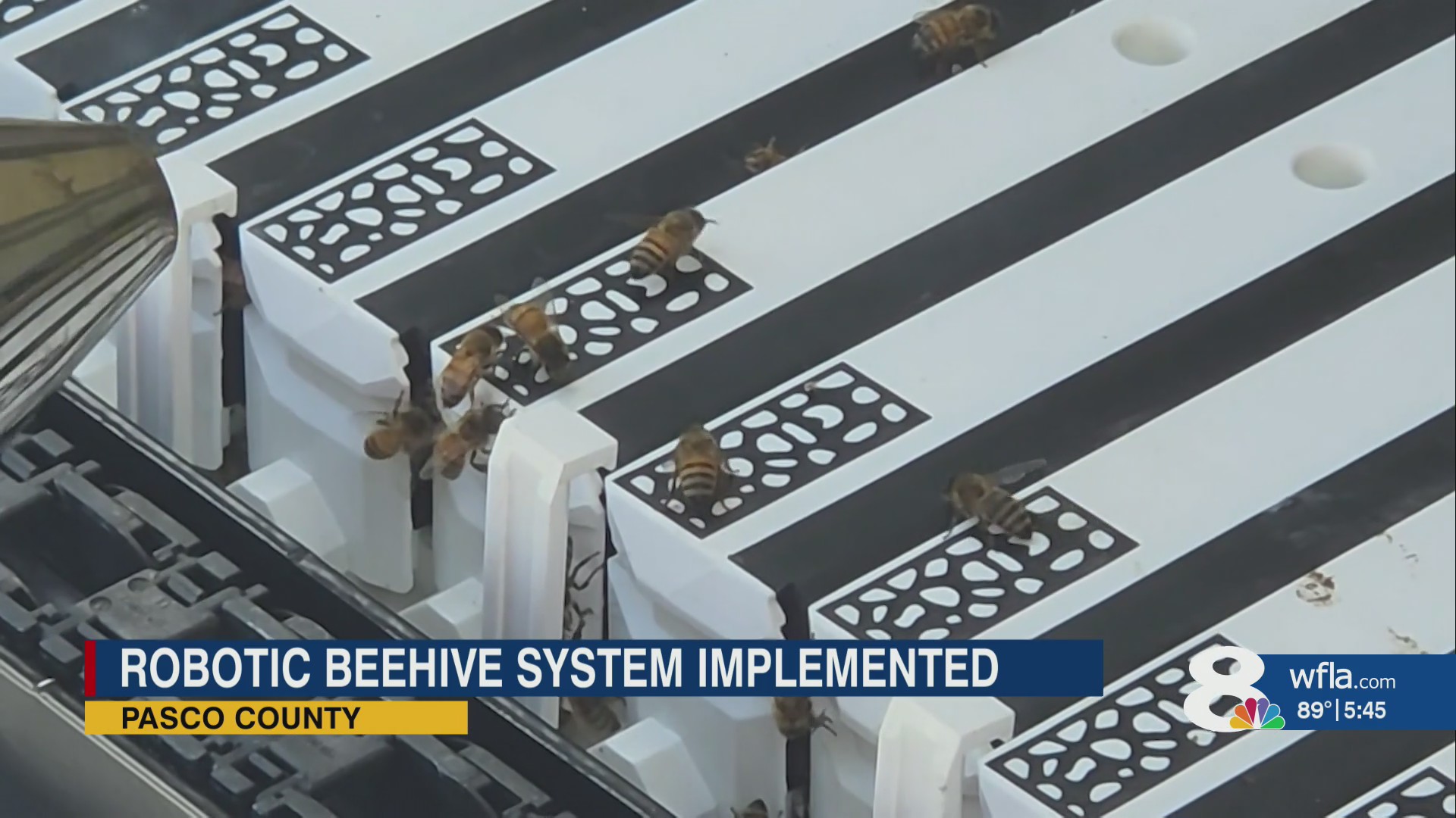 AI robotic beehive system implemented in Pasco County