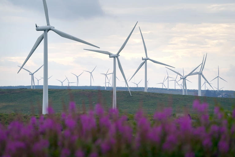 Clean power by 2030 target 'extremely ambitious', MPs warn