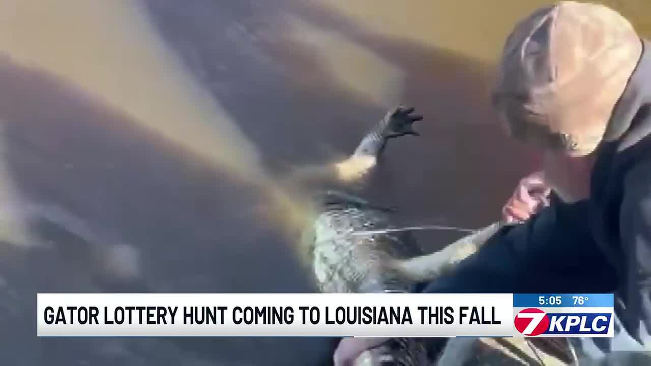 Recreational gator hunting lottery coming to La. this fall