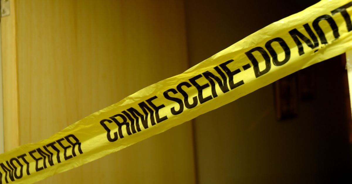 Woman pleads guilty to murder of girl, 2, after police find grisly box ...