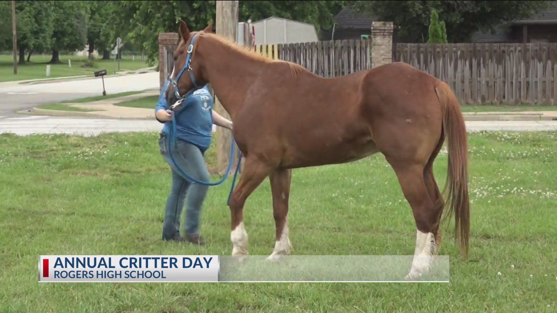 Annual Critter Day held at Rogers High School