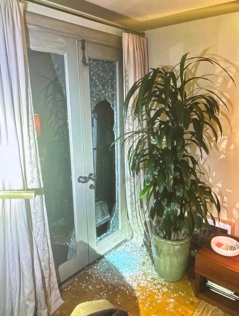 String of burglaries rocking LA residential area committed by South ...