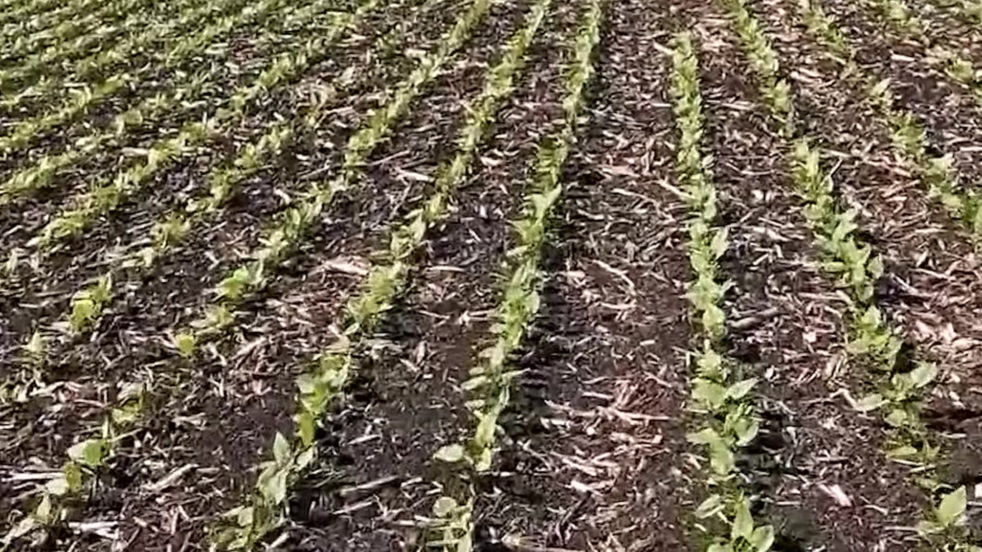 Farmer innovation in action