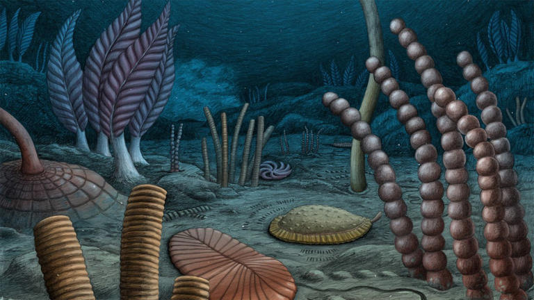 Complex animals evolved up to 10 million years earlier than previously ...