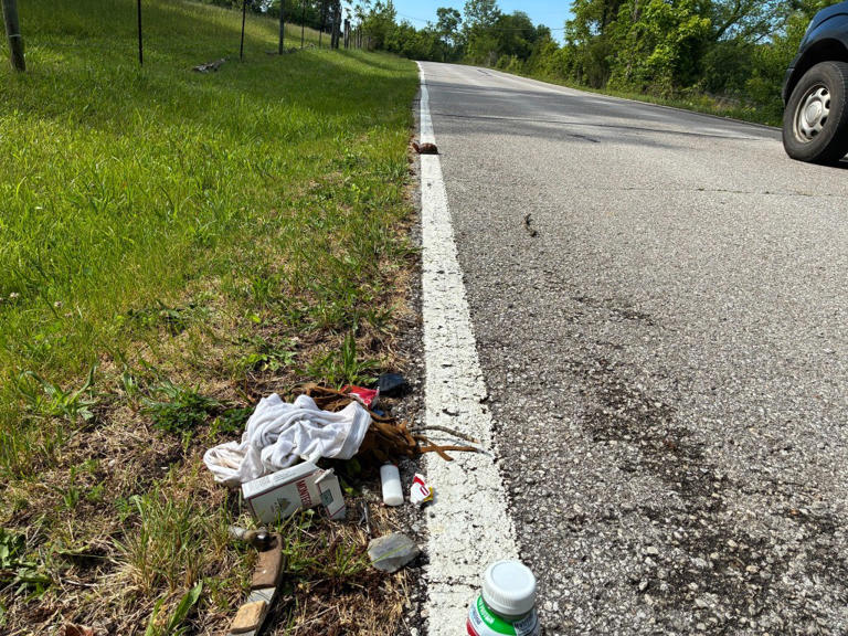 Indiana man seen dancing in roadway while cradling rare turtle arrested ...