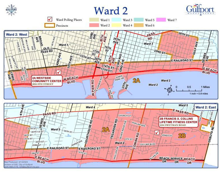 Gulfport Ward 2 City Council special election heads to runoff between ...