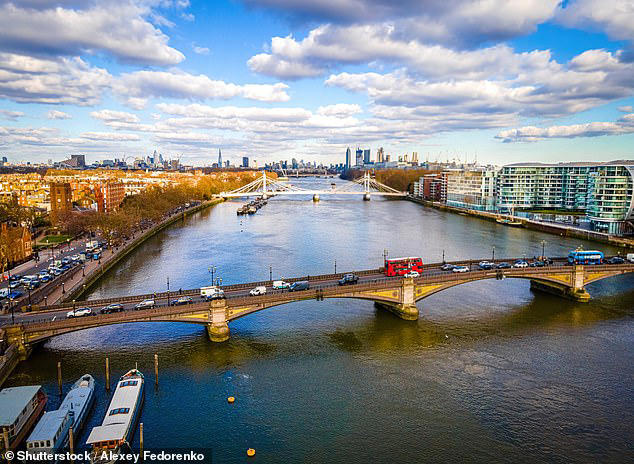 London bus driver, 64, dies after being attacked while working: Man, 32 ...